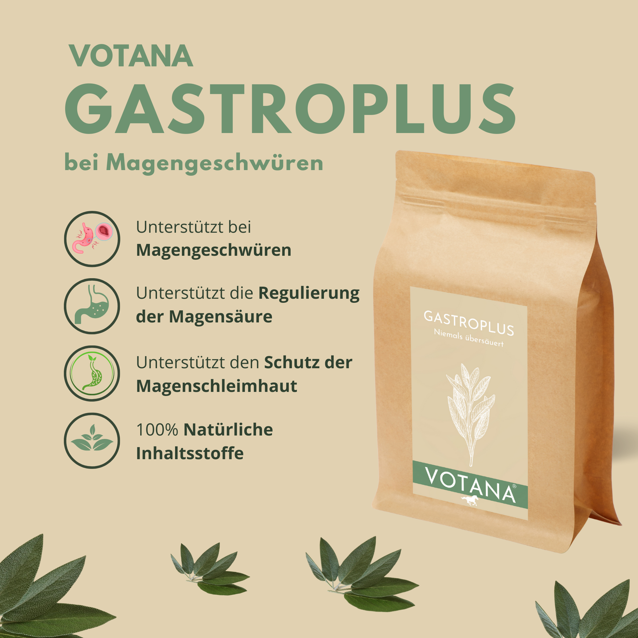 GASTROPLUS - Magenkräuter für Pferde | Langfristig – Votana Pferd